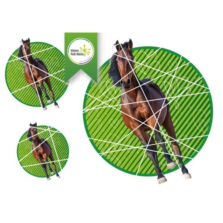 Bügelbilder – Dinobande 2.0 – Schnittverhext